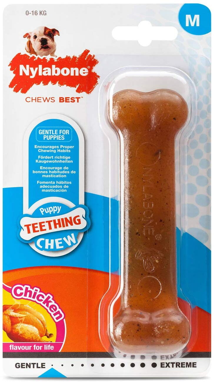 NYLABONE PUPPY TEETHING TOUGH DOG CHEW TOYS BONES PACIFIERS CHEWS ...