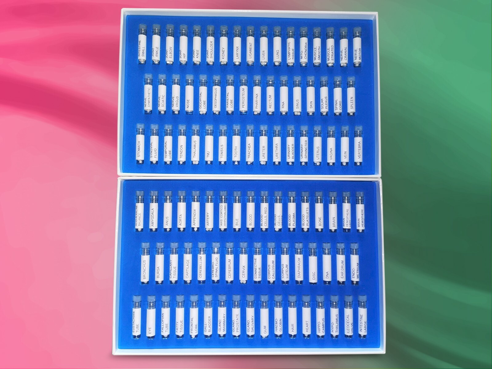 Human Body Test Kit - Kinesiology - Homeopathy - Bioresonance 100 glass ...