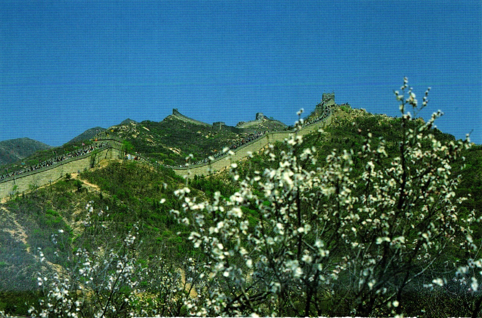 The Great Wall In Spring China Postcard | eBay