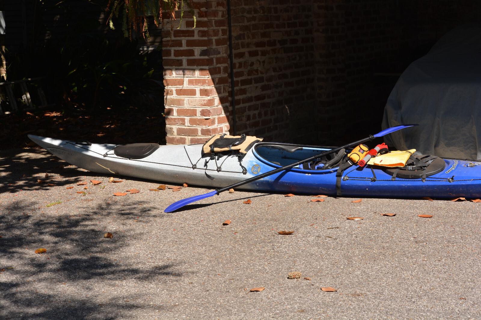 Perception Eclipse Sea Lion Touring Kayak 17.5 ft. | eBay