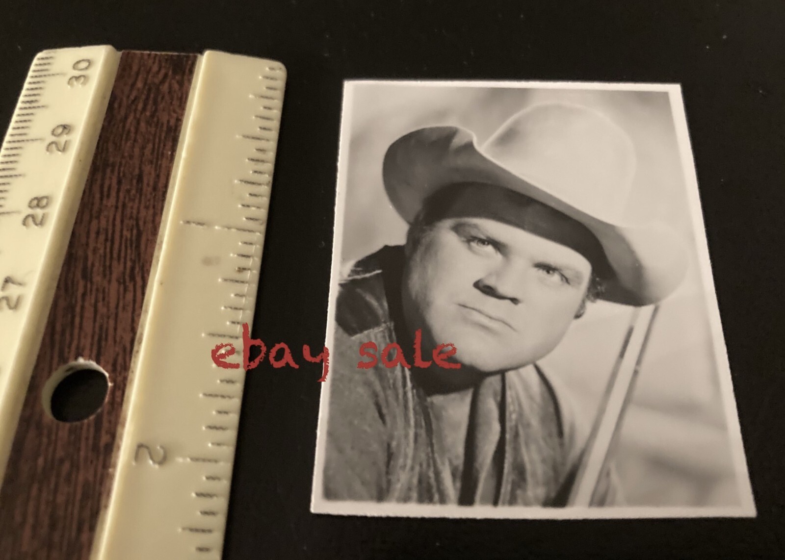 DAN BLOCKER Photo VINTAGE ORIGINAL wallet size promo RARE Hoss Cowboy ...