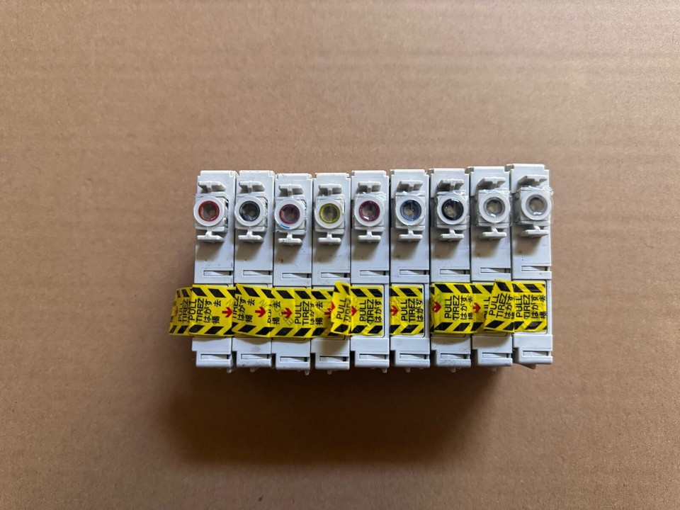 Genuine EPSON T087 87 Ink Cartridges 9-pack For Stylus Photo R1900 | eBay