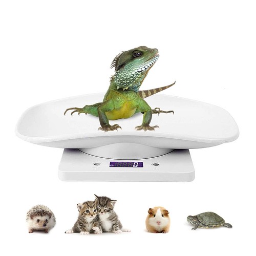 Digital Pet Scale LCD Electronic Small Animals Weighing Scale, Kitchen ...