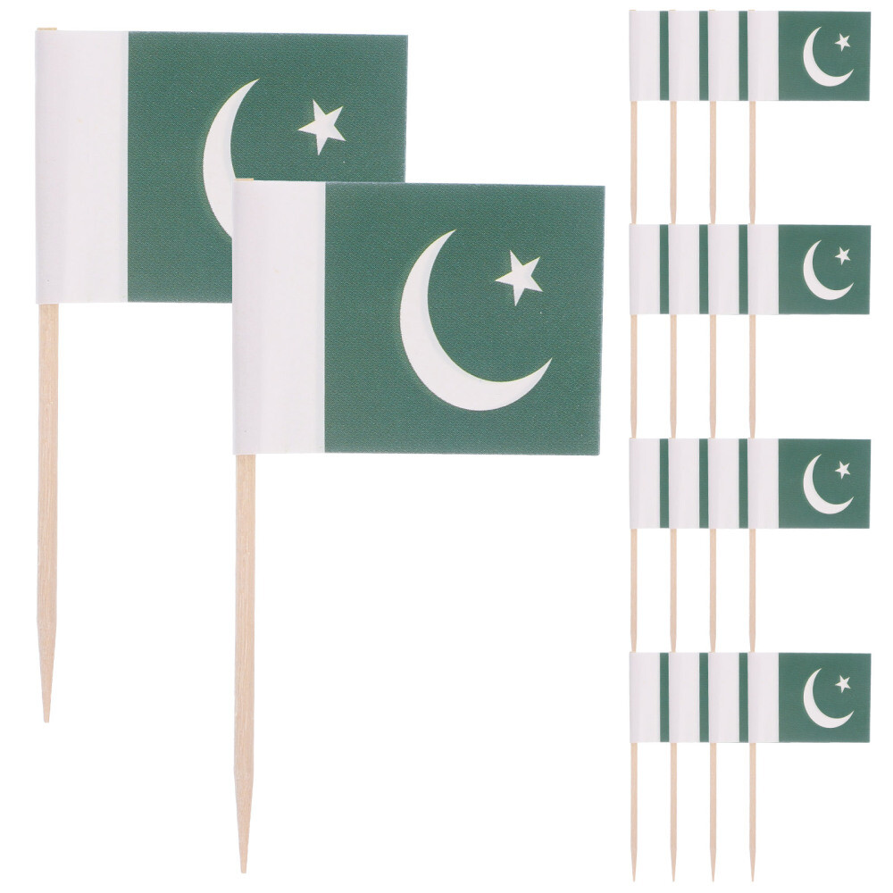 100pcs Pakistan Flags Party Toothpick Small Flags Toothpicks Decorative ...