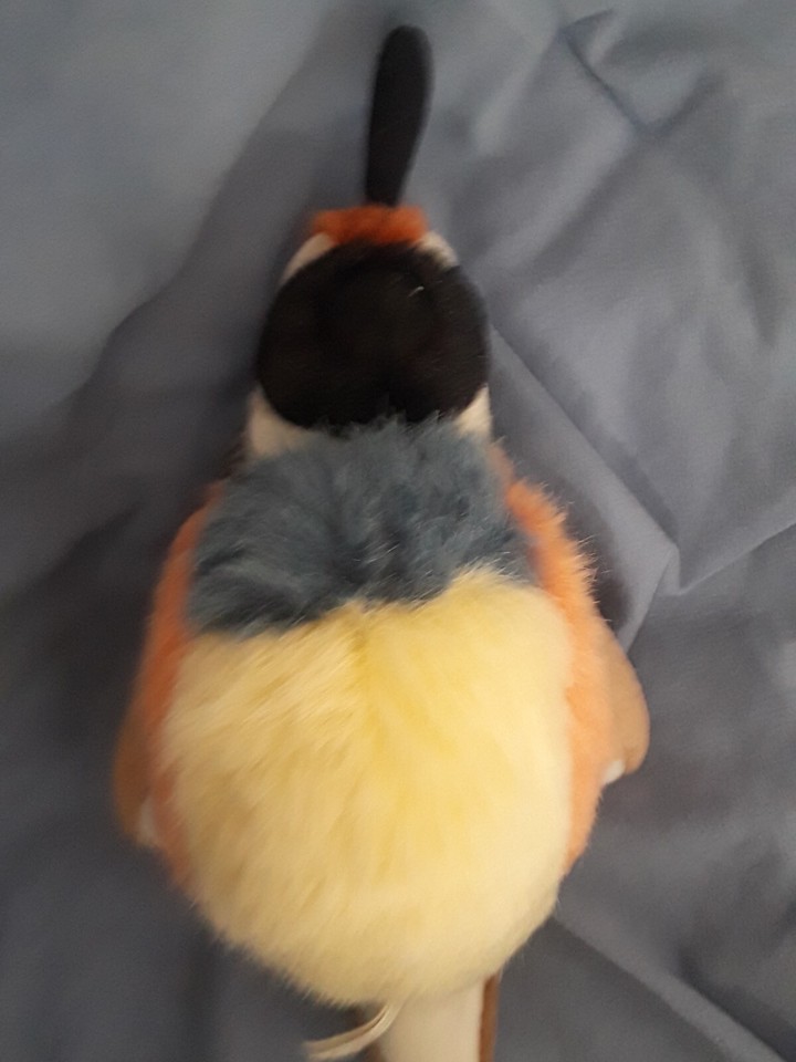 Quail Plush Wild Republic Audubon Bird CALIFORNIA 8” Stuffed Animal NO ...