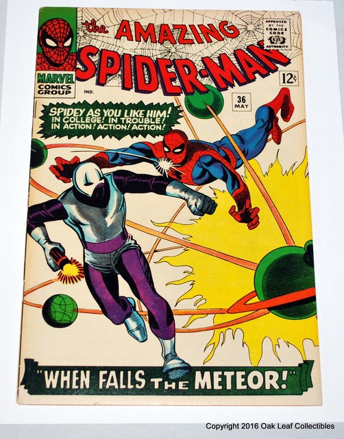 The looter comics - bingerfortune