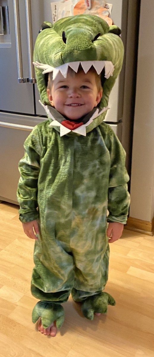 Baby T Rex Costume