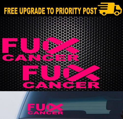 F*CK CANCER Sticker 200mm breast cancer ribbon car window decal X2 ...