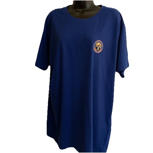 2xL blue unbranded t shirt with Linfield fc transfer | eBay UK
