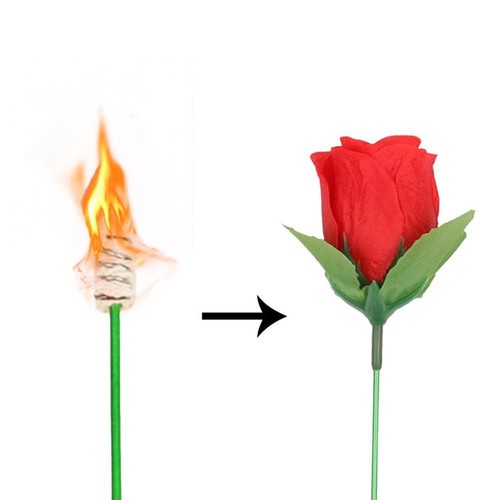 Change Into Rose Torch To Flower Fire Flame Appearing Flower Children ...