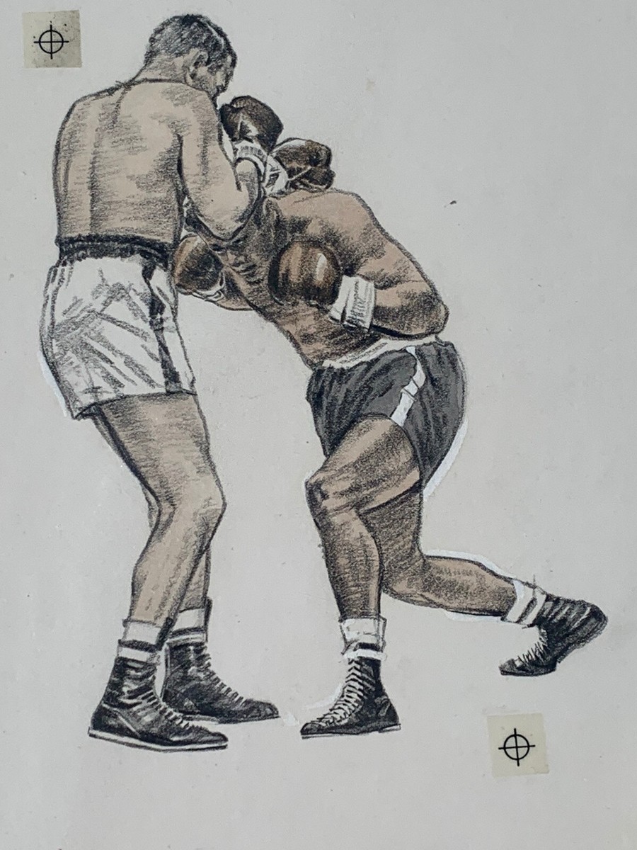 Boxer Sport Drawing