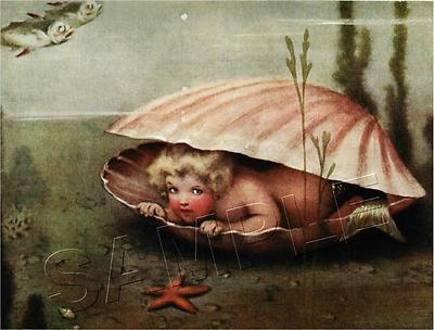 VINTAGE ERA VICTORIAN MERMAID BABY CLAM SHELL MERBABY SEA NYMPH CANVAS ...
