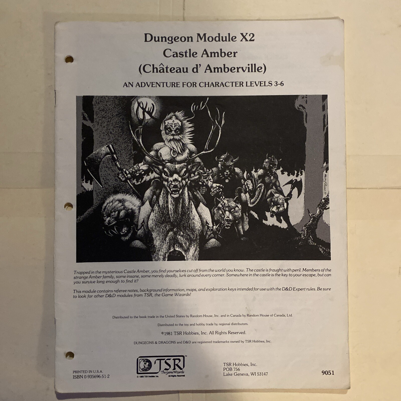 D&D Expert Set X2 Castle Amber Dungeons & Dragons Module TSR 9051 | eBay