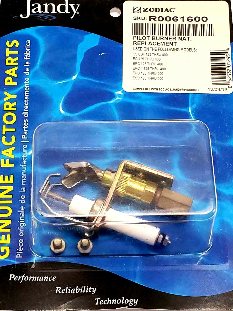 TELEDYNE LAARS R0061600 Pilot Assembly,Natural Gas | eBay