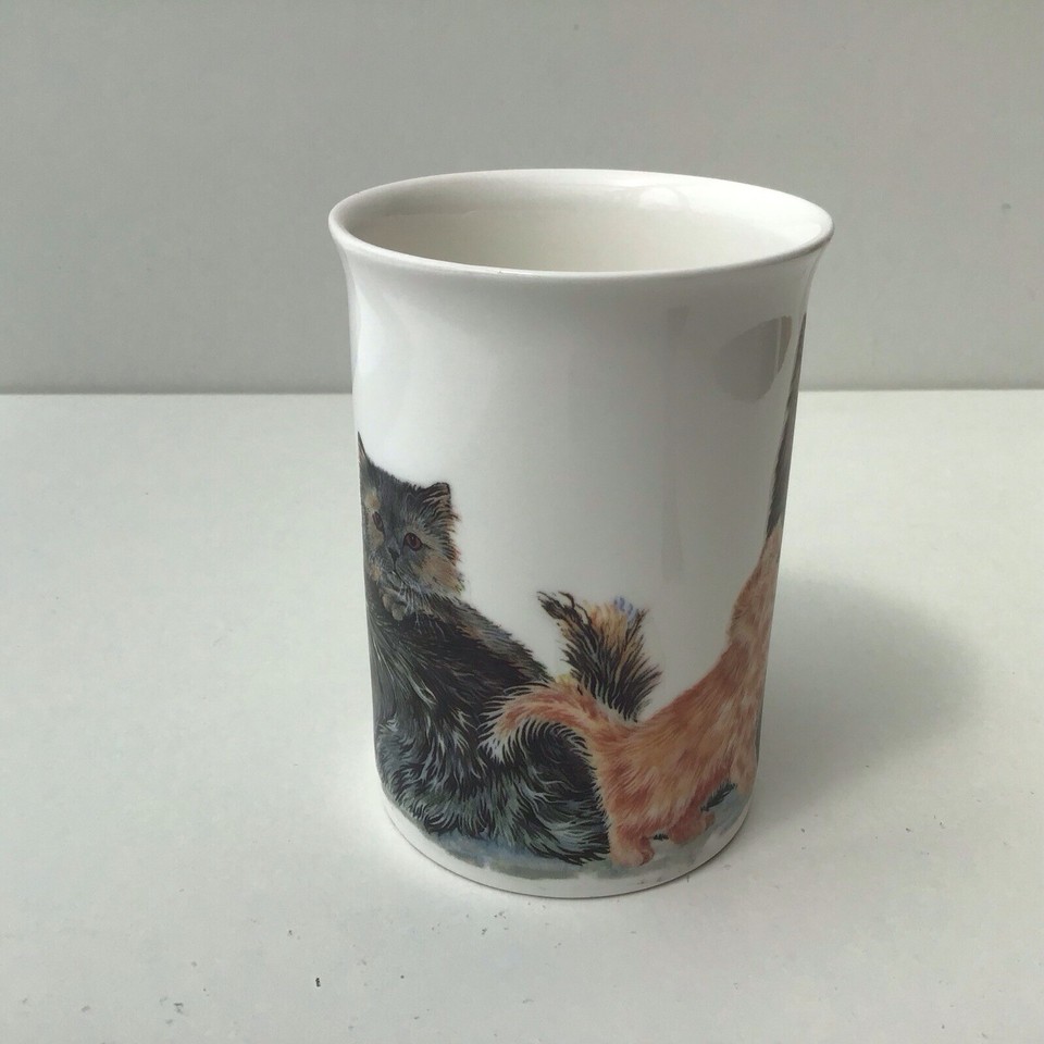 Mug Vintage Roy Kirham 1989 Cat Lovers Fluffy cats coffee tea vgc | eBay UK