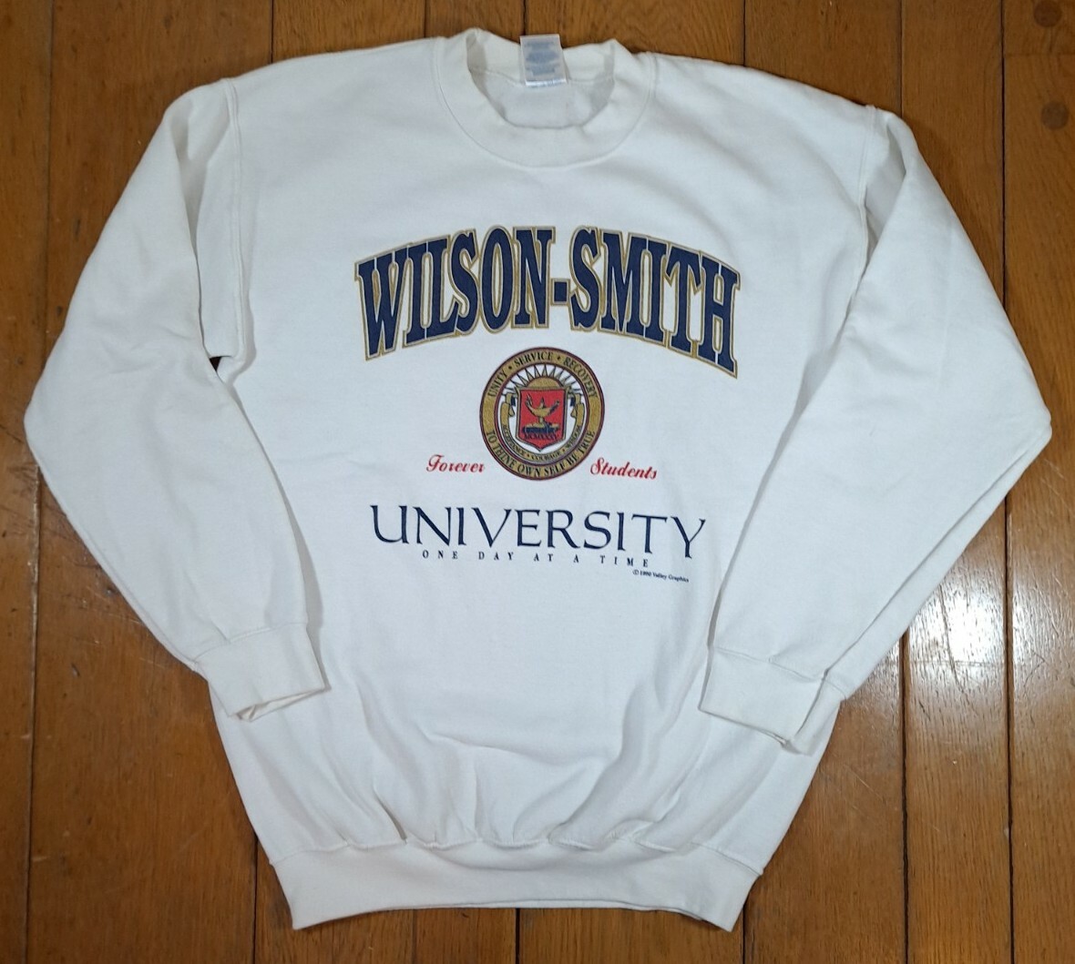 Vintage 1990 Wilson-Smith University Sobriety AA Medi… - Gem