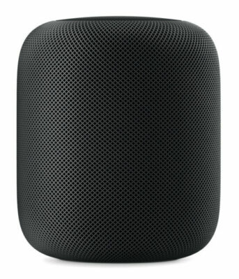 Apple HomePod - 1st Generation - (Space Gray, MQHW2LL/A) 190198504524 ...