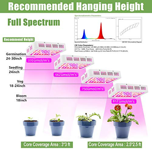 1000W LED Grow Light for Indoor Plants Full Spectrum Upgrade Dual Bee ...