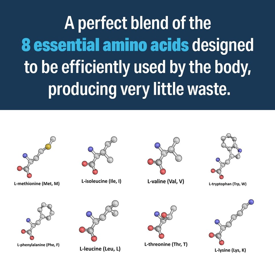 Advanced Amino Formula Tablets, Amino Acid Supplement, Build Muscle ...
