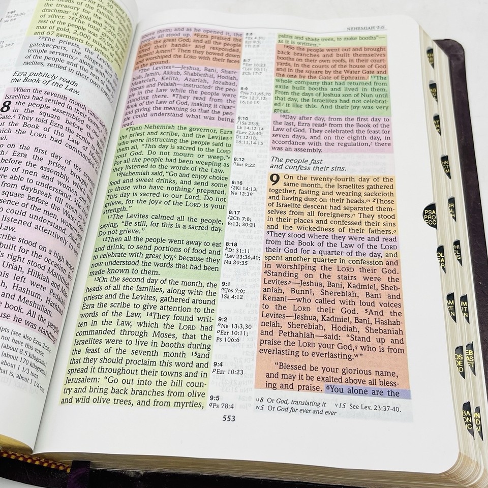 NIV Rainbow Study Bible New International Version Please Read | eBay