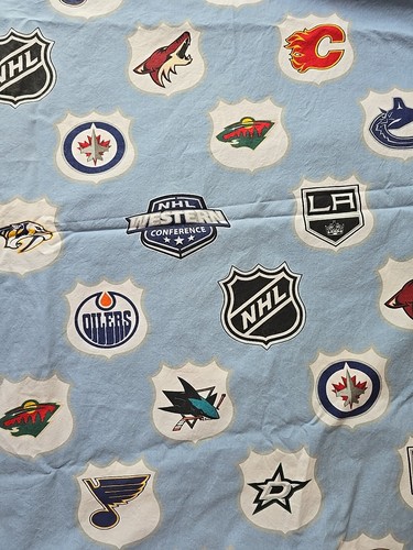 Pottery Barn Teen NHL Hockey Western Conference Logo Blue Twin Flat ...
