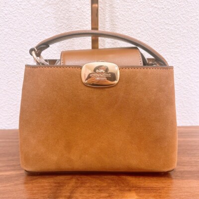 NWT Coach Eliza Mini Carryall Bag In Suede CW181 | eBay