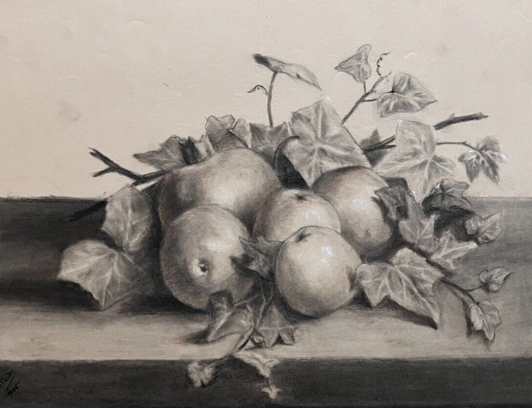 Still Life Drawing Charcoal Charcoal Drawing Ideas