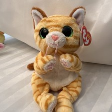 Mango the Cat - Beanie Bellies - Beaniepedia