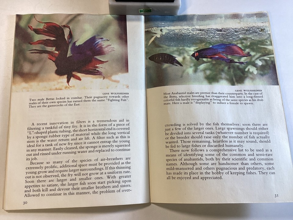 Enjoy Your Gouramis and Other Anabantids - 32 pp - Pet Fish Care - Free ...