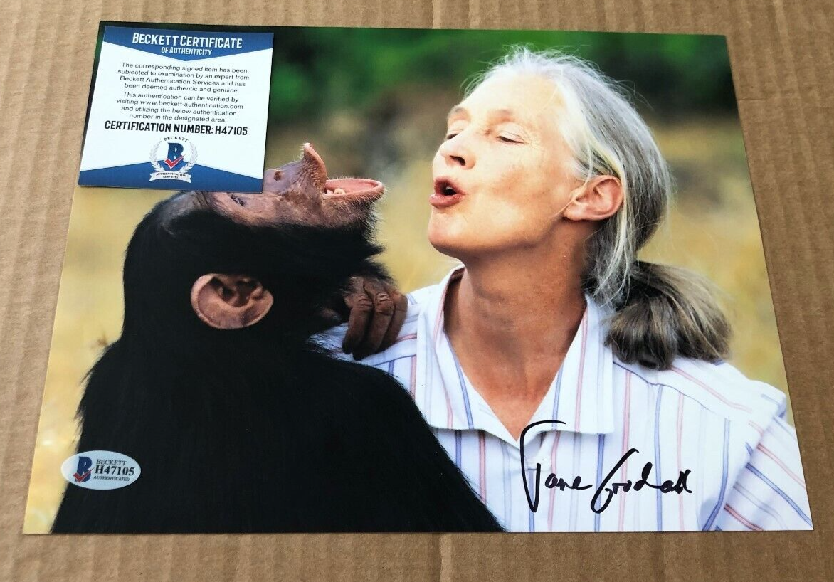 JANE GOODALL SIGNED 8X10 PHOTO BECKETT CERTIFIED | eBay