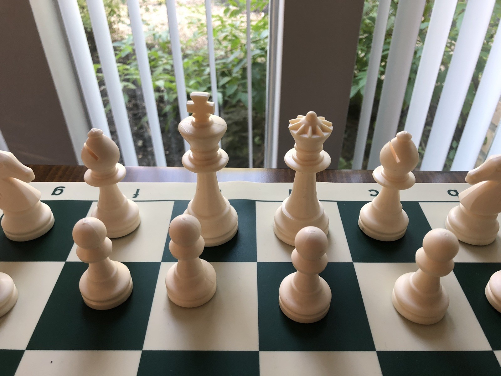 European Chess Set. 32 Cream & Black Chessmen W/ Green Silicone Board ...