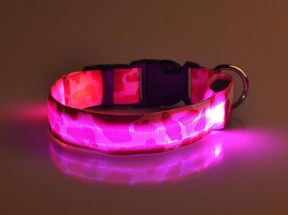 RECHARGEABLE CAMO LED PET DOG GLOW COLLAR night harness flash light ...