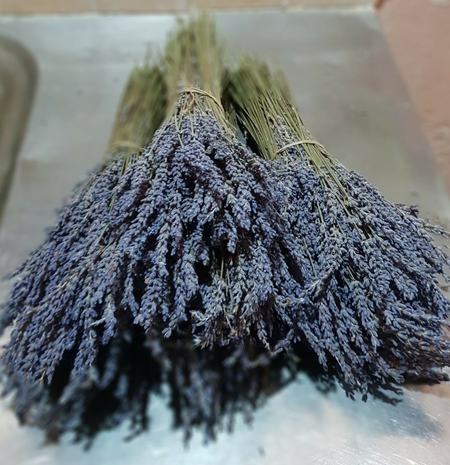 Certified Organic Greek Dried Lavender 1 Bunch and 50g Flowers Harvest ...