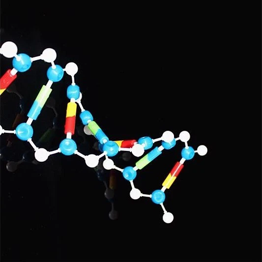 Nucleotide Model 3d