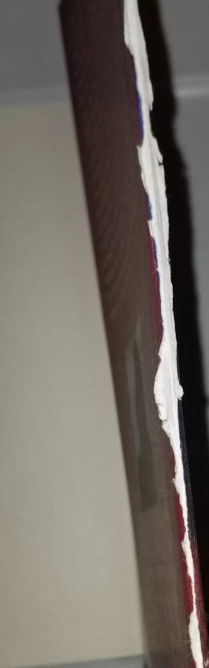 How to Seduce a Ghost A Novel by Hope McIntyre 9780892960132| eBay