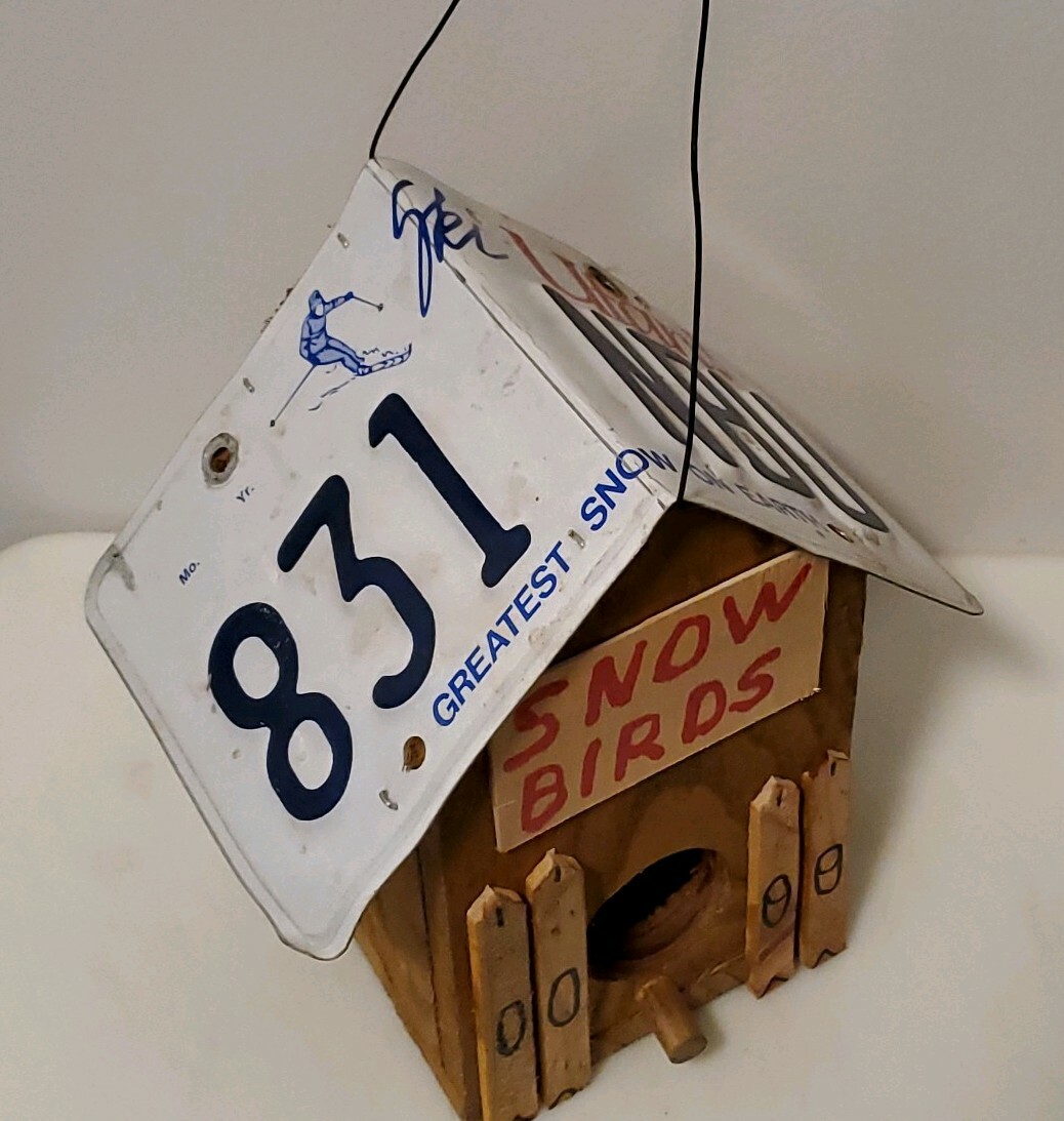 Unique Snow Birds House Bird House With Drift Wood Roof Hand Made ...