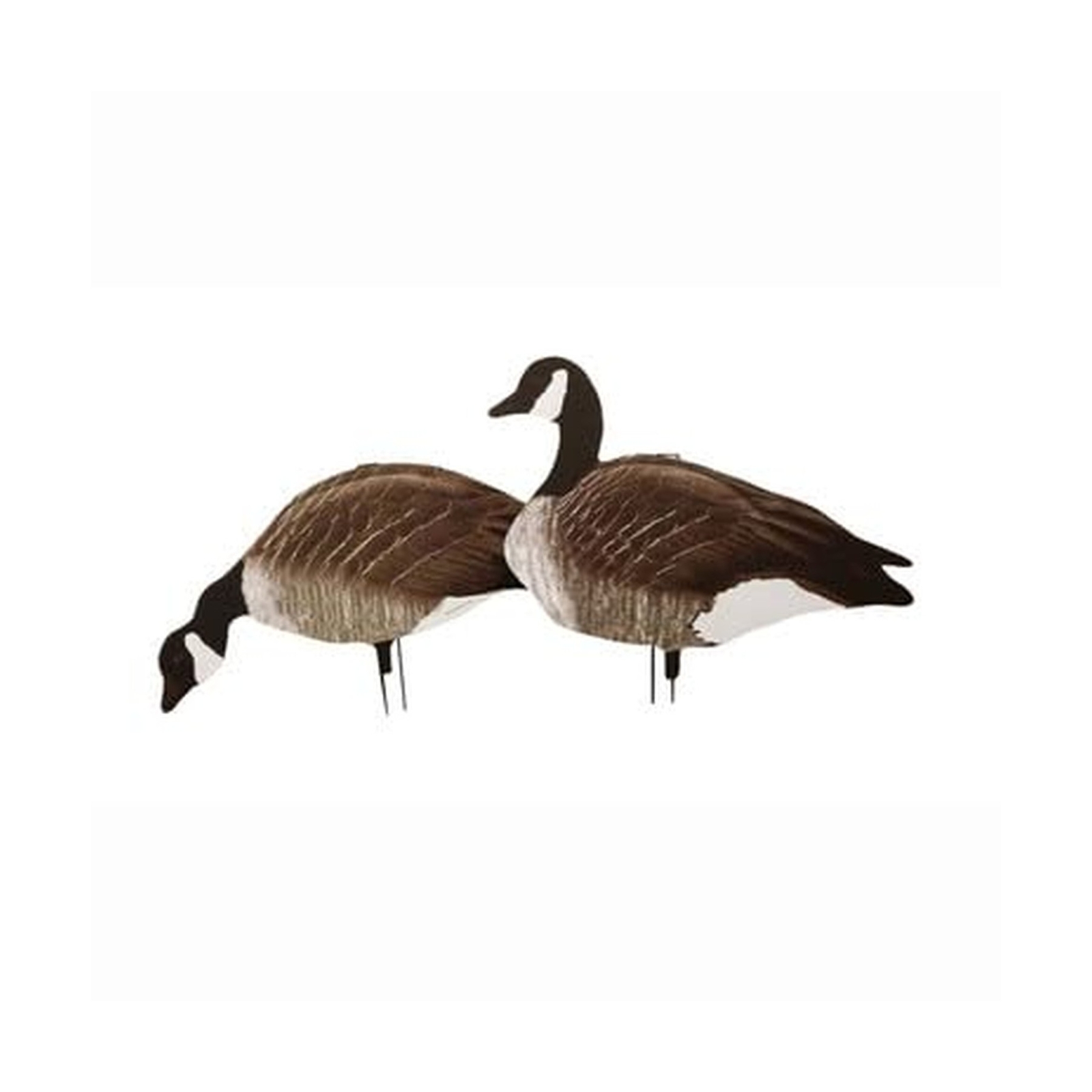 Big Al's Decoys X14 Greater Canada Goose Silhouettes, Pack of 14 | eBay