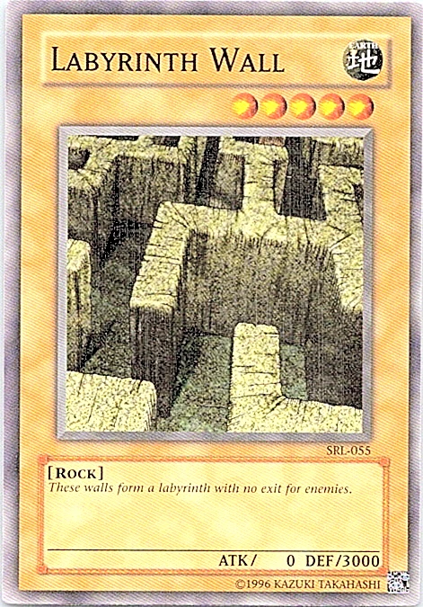 Yu Gi Oh Labyrinth Wall