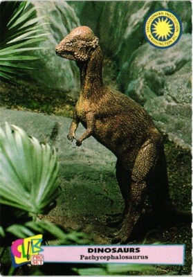 1992 Smithsonian Dinosaurs Trading Card #8 Pachycephalosaurus Club Pro ...