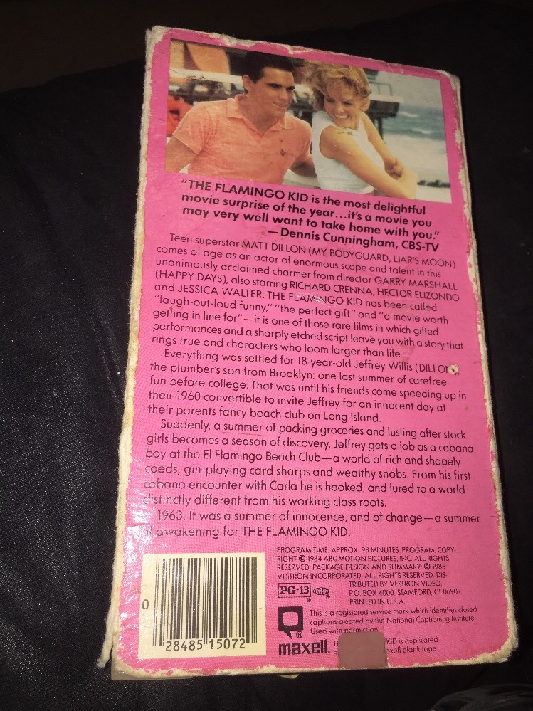 The Flamingo Kid VHS Video Tape Movie Matt Dillon | eBay