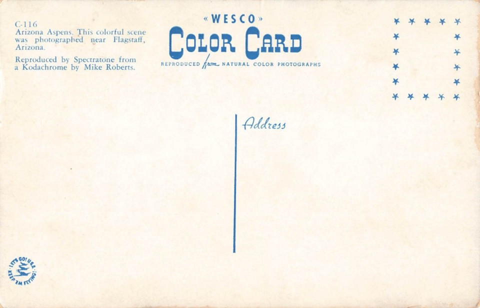 Postcard Arizona Aspens colorful scene near Flagstaff, Wesco Card VTG ...