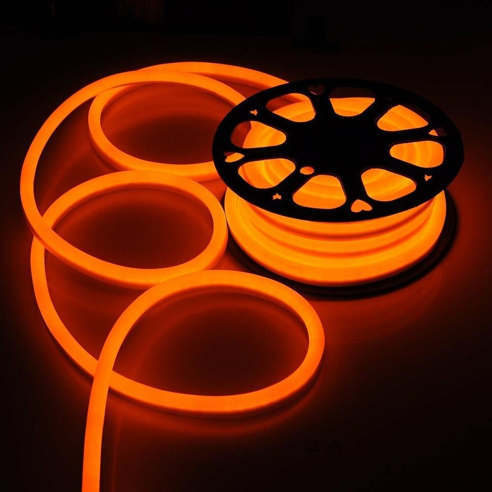 100ft LED Flex Neon Rope Light Strip Building Wedding Garden Sign Decor ...