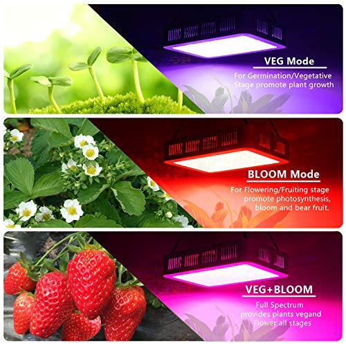 1000W LED Grow Light for Indoor Plants Full Spectrum Upgrade Dual Bee ...