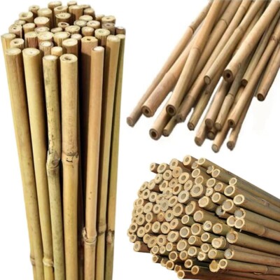 Heavy Duty Thick Strong Bamboo Canes 2FT-7FT Quality Garden Plant ...