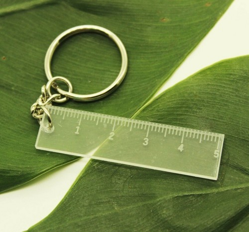 CLEAR RULER KEYCHAIN Car Keys Mini Cute Teacher Gift Education Maths ...
