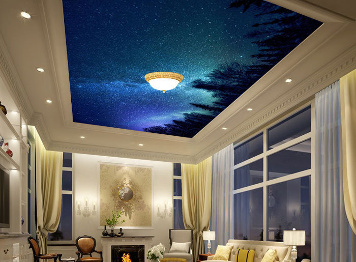 Starry Night Ceiling Mural | Shelly Lighting