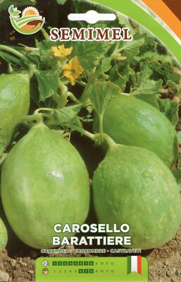 20 Semi / Seeds CAROSELLO Barattiere | eBay