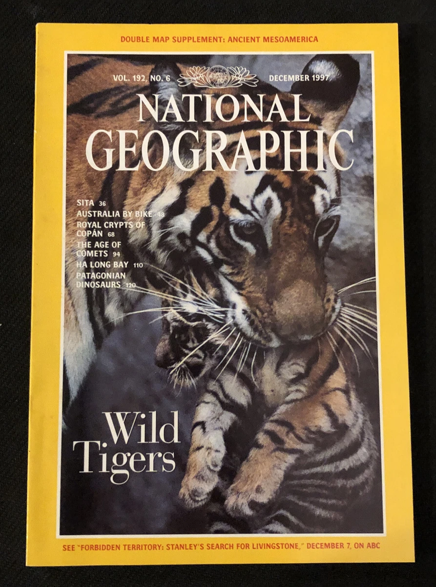 National Geographic Tiger