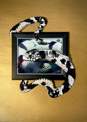 AMAZING SNAKE FRAMED JEWELRY ONE OF A KIND ART UNIQUE GIFT DECOR | eBay