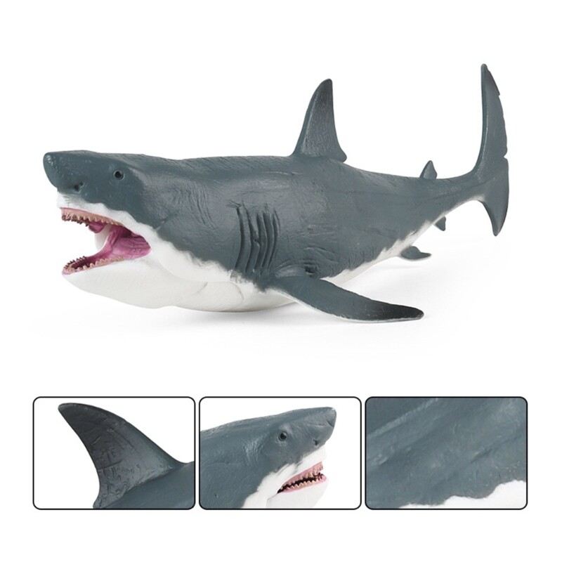 Delicate Megalodon Model Educational Toy Figurine for Marine Life ...